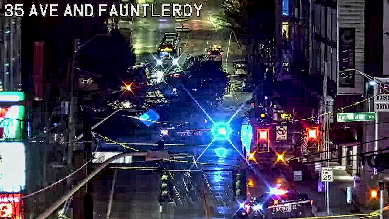 Update: Tree blown down blocking 35th SW near Avalon Way; Now clear ...